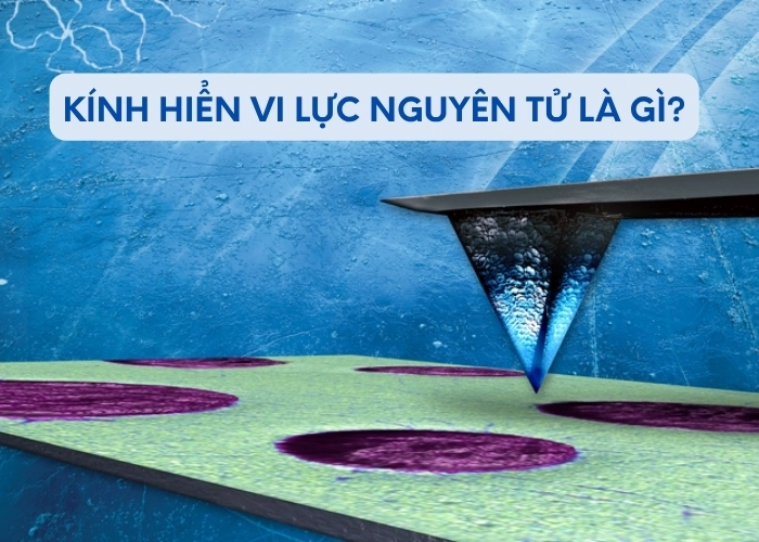 Kính hiển vi lực nguyên tử là gì và hoạt động ra sao?