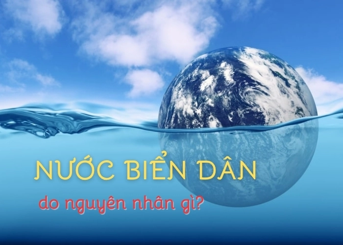 Những nguyên nhân chính gây ra hiện tượng nước biển dâng